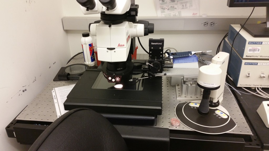 Insect Transgenesis Facility – Genetic Engineering and Society