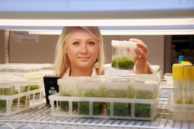 Jennifer Spivey_Kenan Fellow_3 - Kenan Fellows Program for Teacher ...